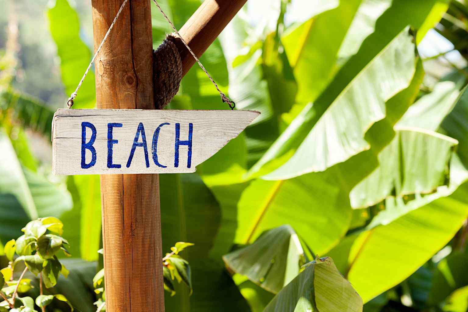 Rejser til Madeira - Find billige rejser her | Spies